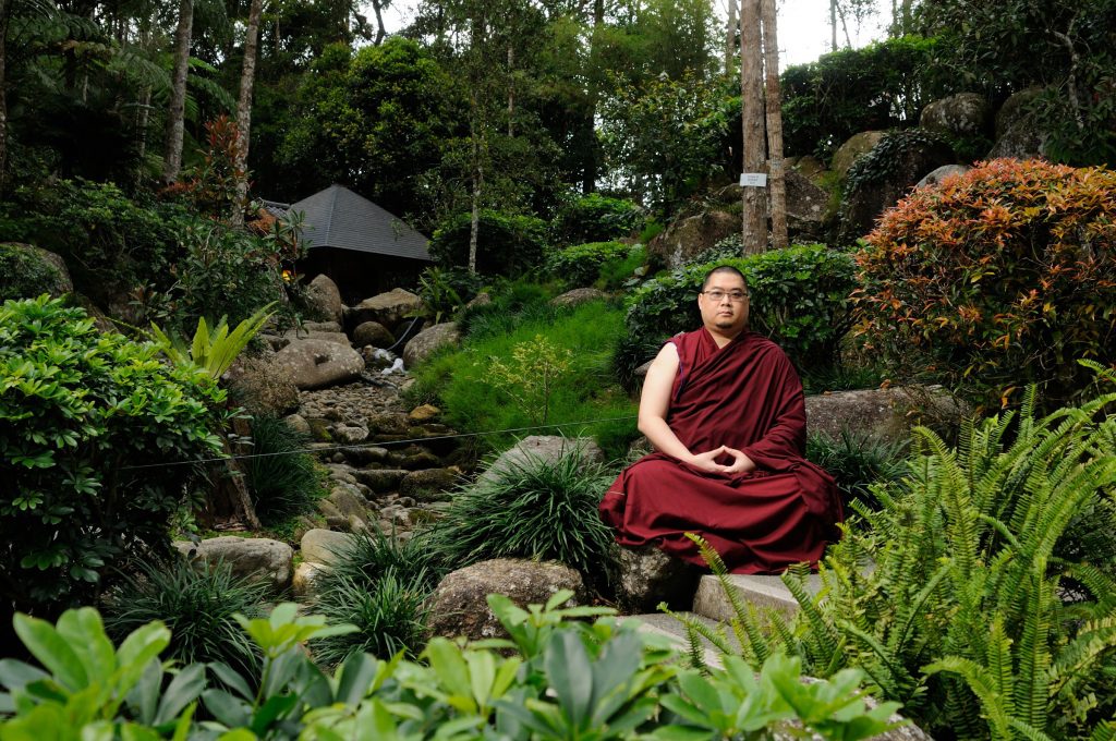 Gallery – Portrait – Tsem Tulku Rinpoche