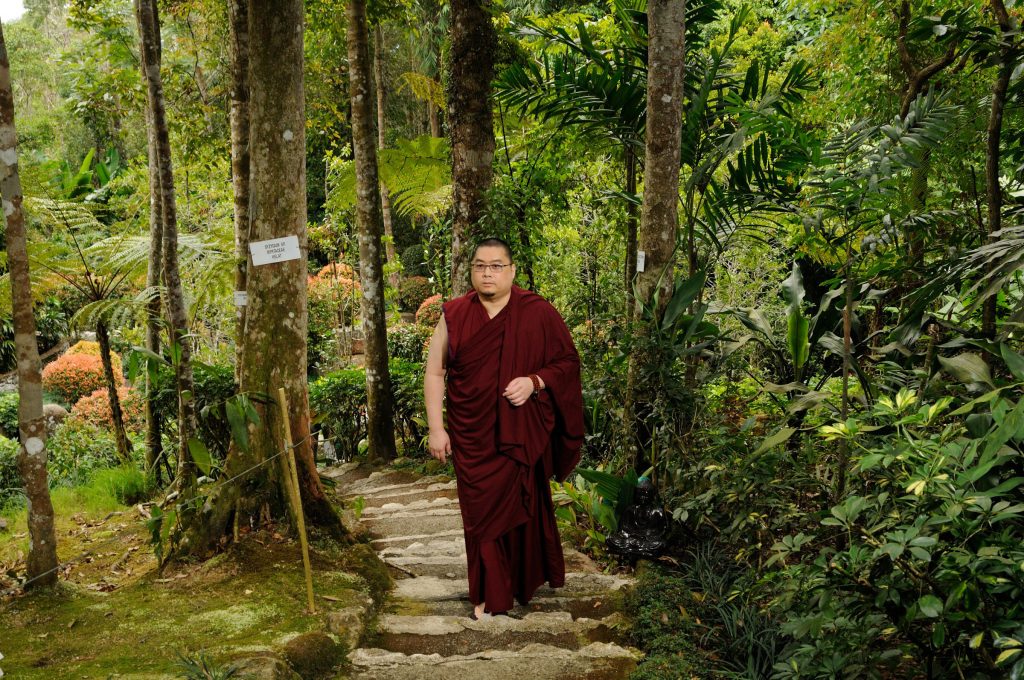 Gallery – Portrait – Tsem Tulku Rinpoche
