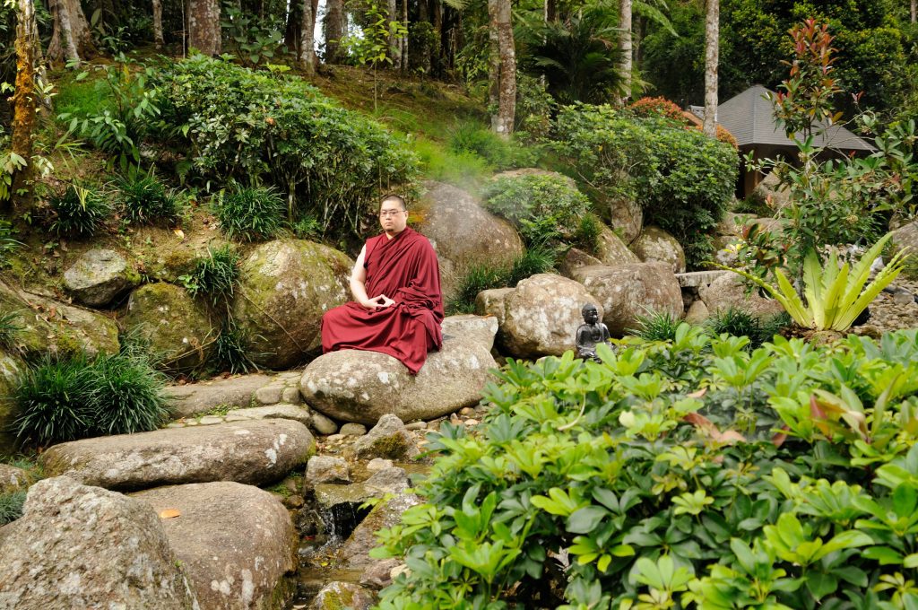 Gallery – Portrait – Tsem Tulku Rinpoche