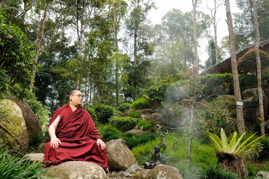 Gallery – Portrait – Tsem Tulku Rinpoche