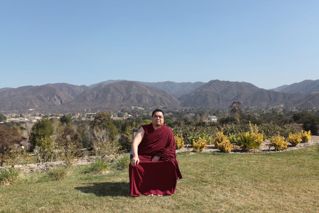 Gallery – Portrait – Tsem Tulku Rinpoche